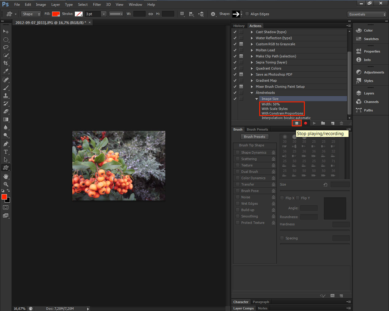 Képek csoportos átméretezése action használatával - BonFire blogja